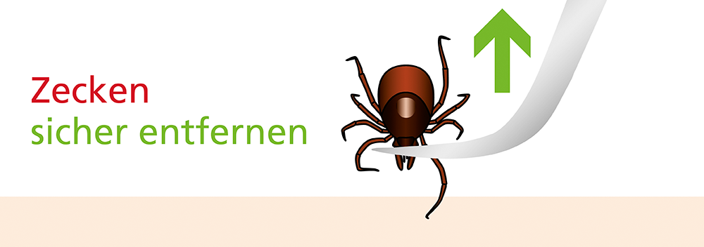 Zecken – Viticks® von Hennig Arzneimittel